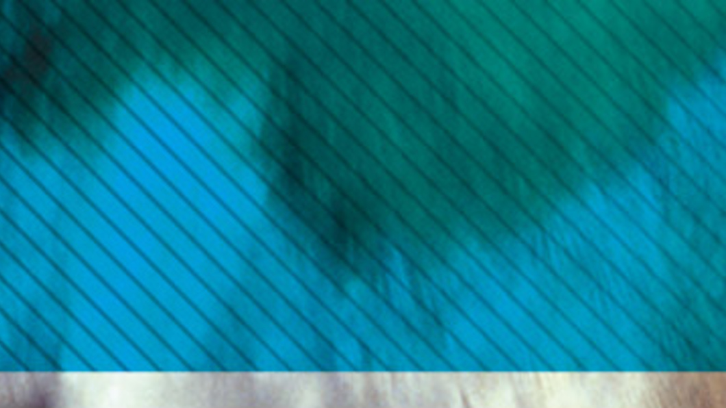 Digital Echidna | Thunder